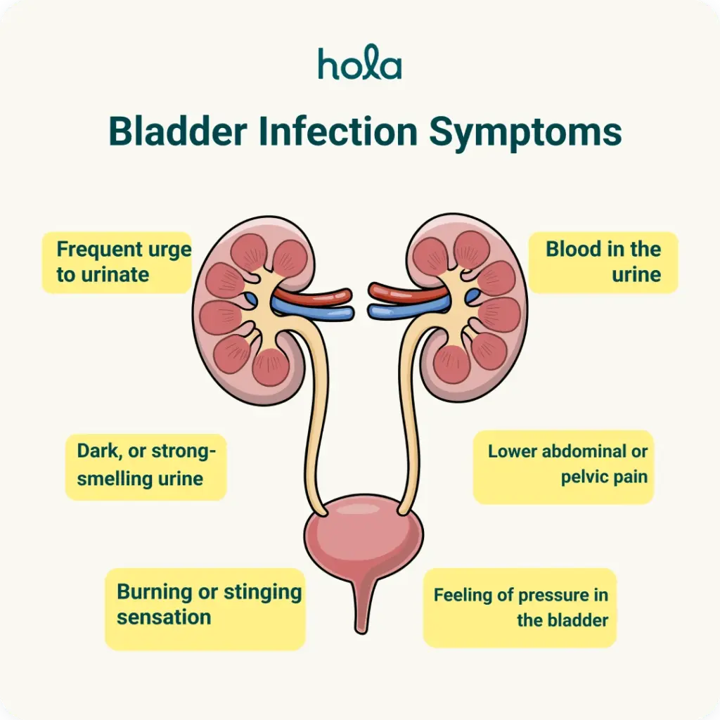 Bladder Infection Consultation Online